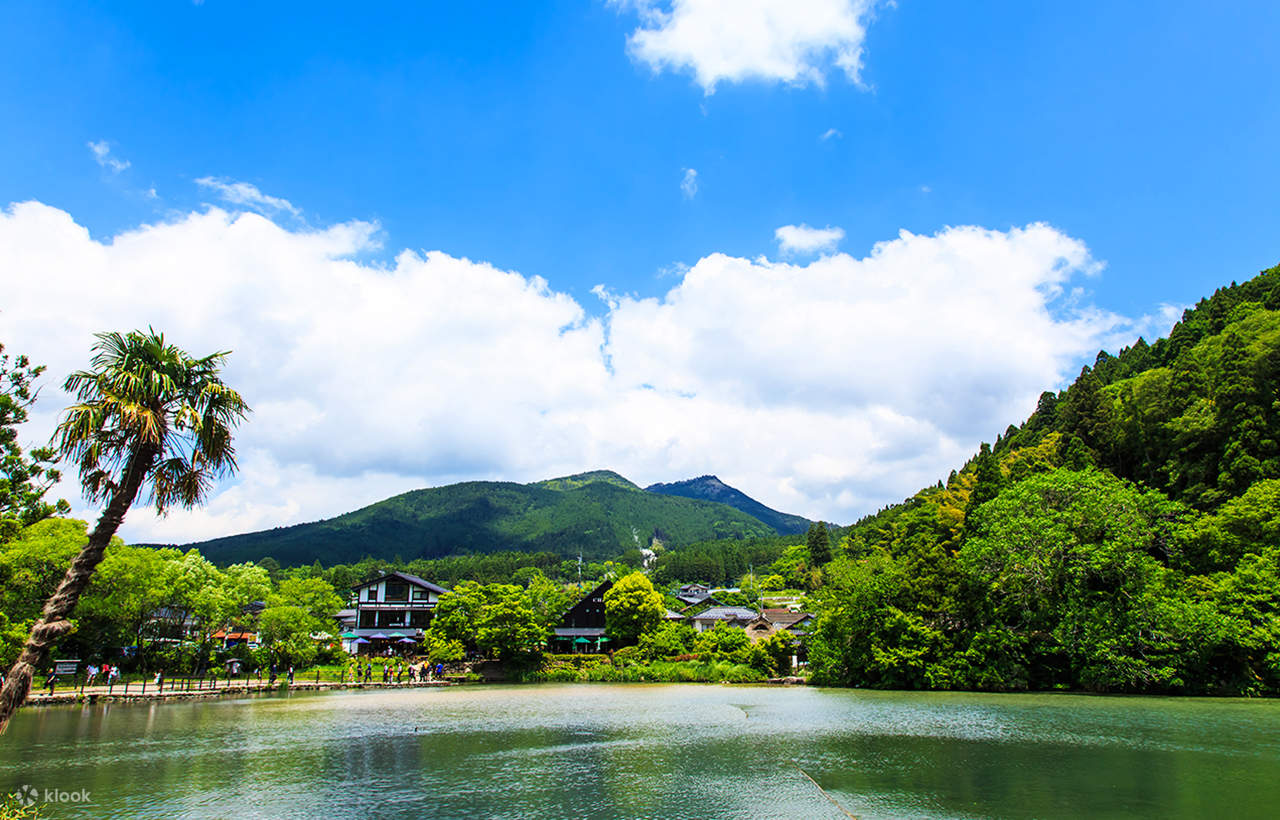 [Family Recommendation] Oita Day Tour｜Walking in Yufuin・Morning light ...
